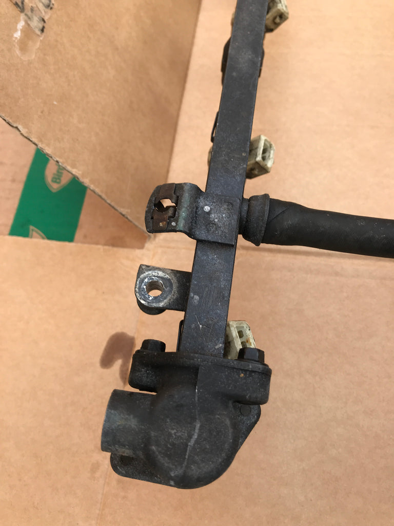 Jaguar DD6 XJ40 XJ81 XJS X300 6.0 V12 Fuel injectors x12 & fuel Rail E ...
